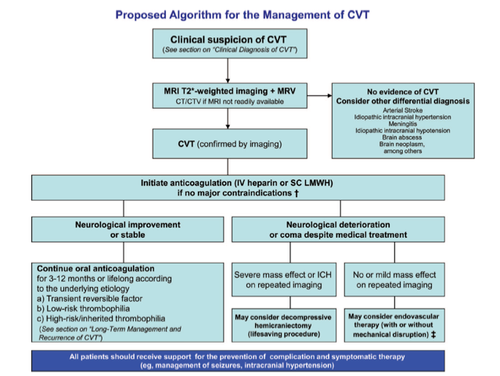 POTD: Cerebral Venous Sinus Thrombosis (CVST) — Maimonides Emergency ...
