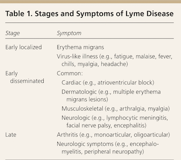 POTD: Lyme Carditis — Maimonides Emergency Medicine Residency