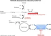 Metformin Associated Lactic Acidosis — Maimonides Emergency Medicine ...