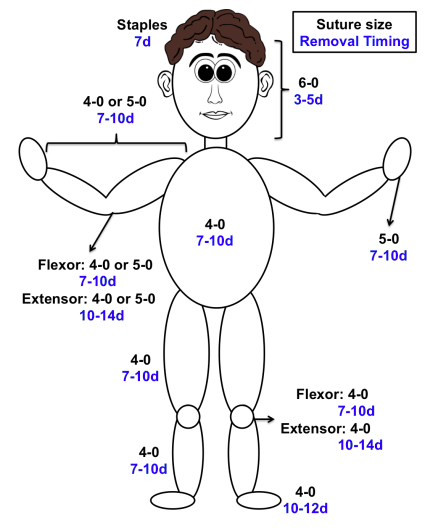 POTD: Suture Choices — Maimonides Emergency Medicine Residency