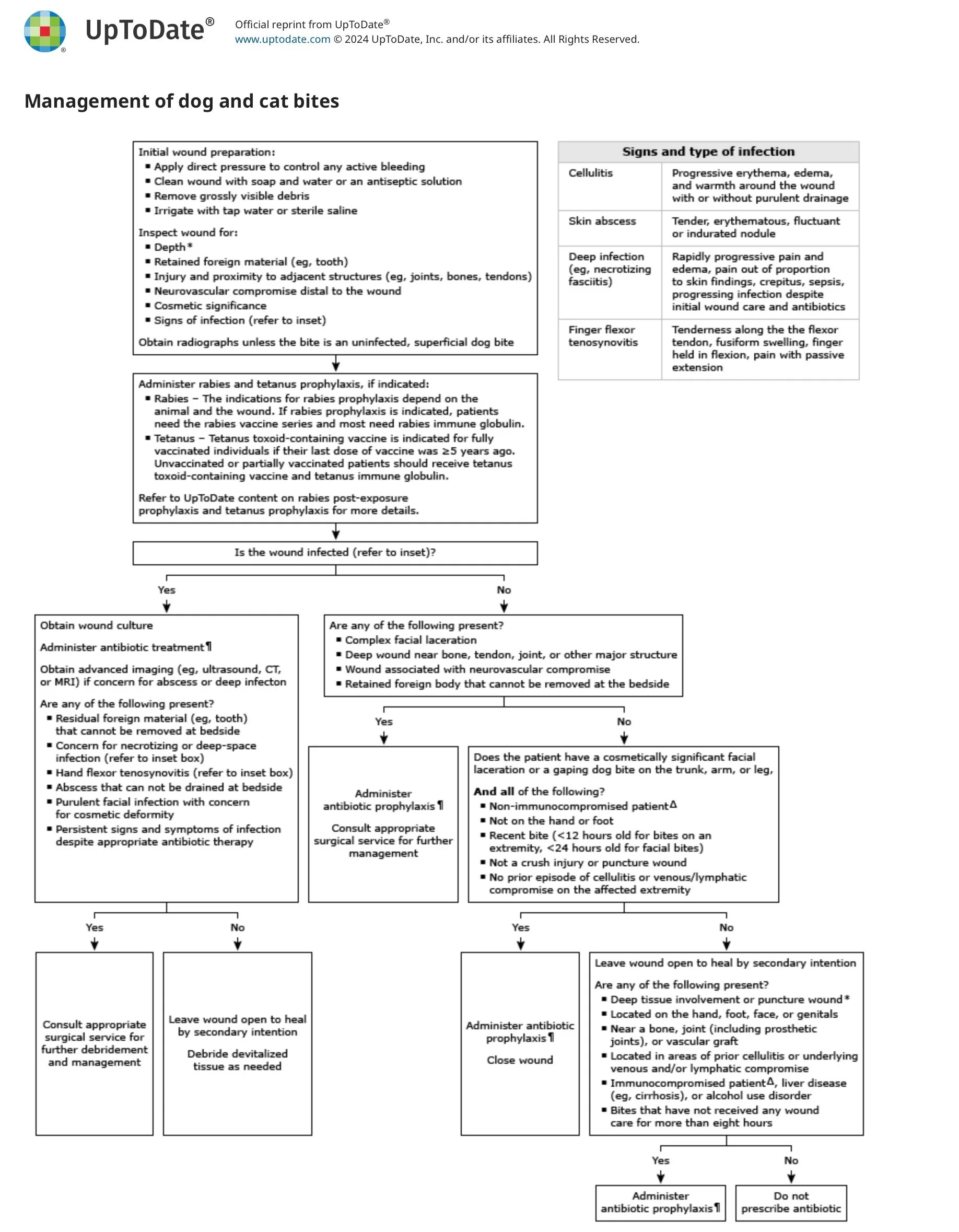 POTD: Dogmentin or Don't — Maimonides Emergency Medicine Residency