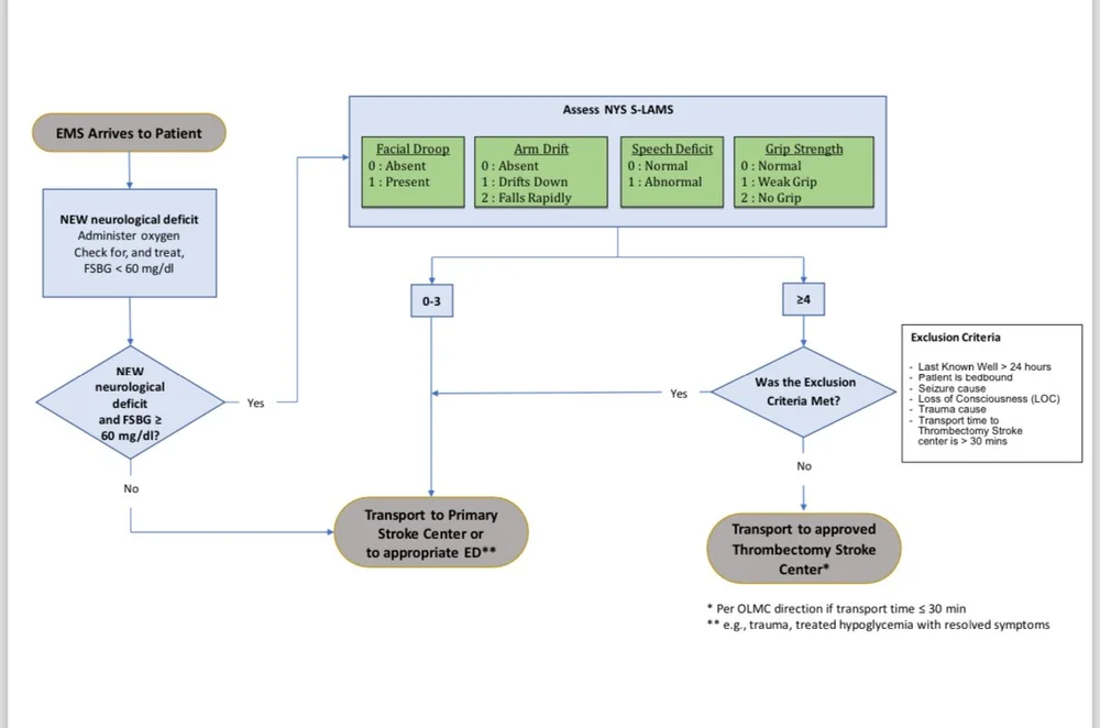 S-LAMS for suspected acute strokes — Maimonides Emergency Medicine ...