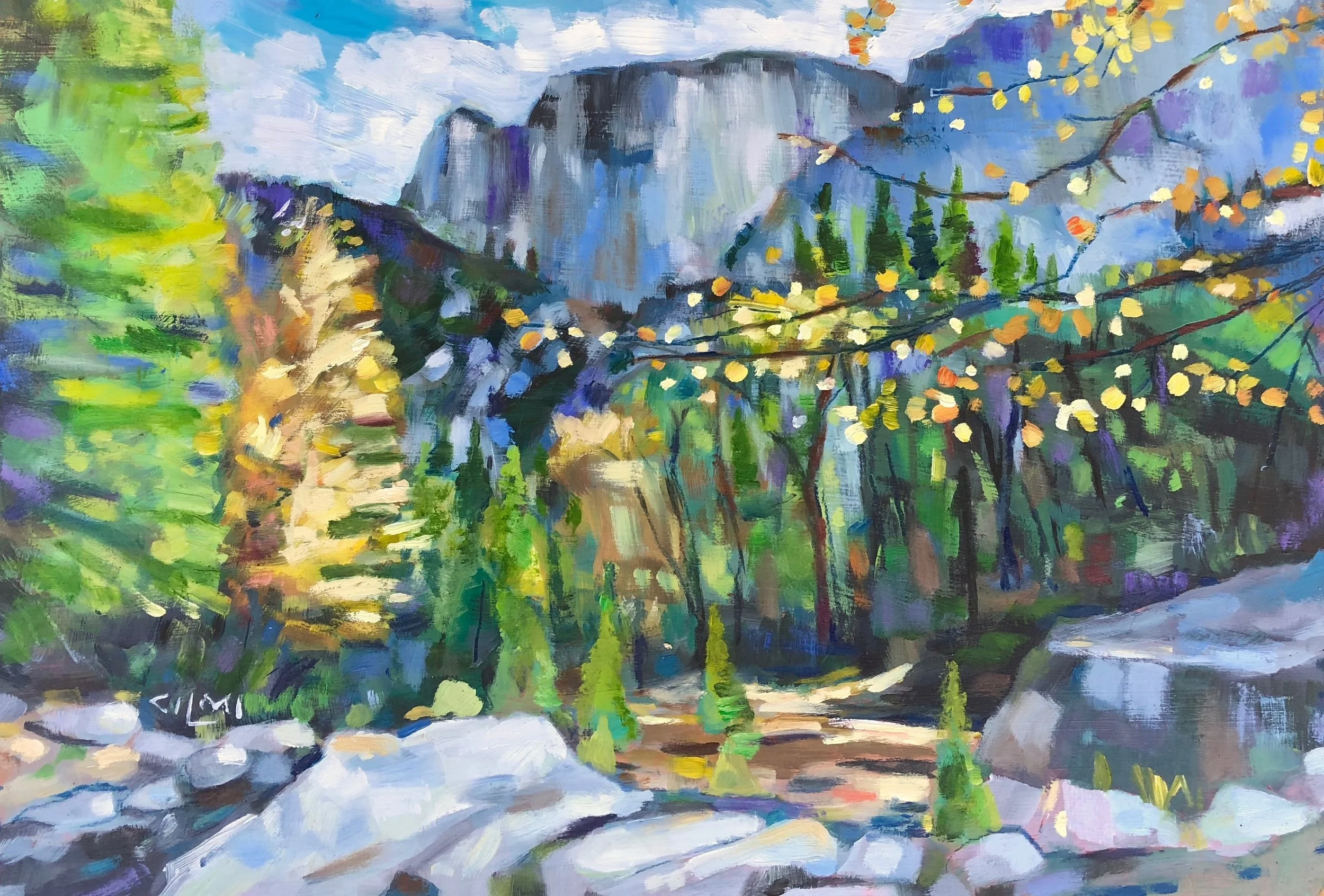 California Landscapes — Scott Cilmi