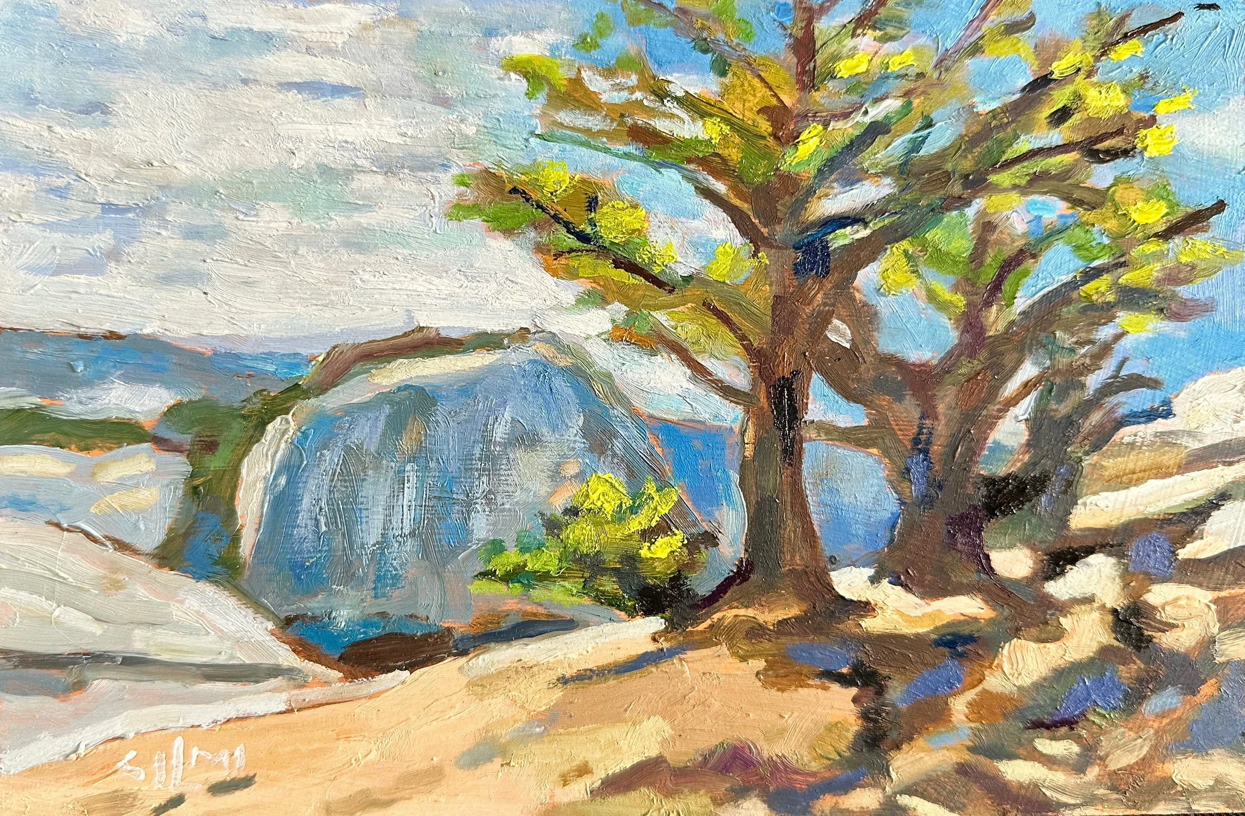 California Landscapes — Scott Cilmi