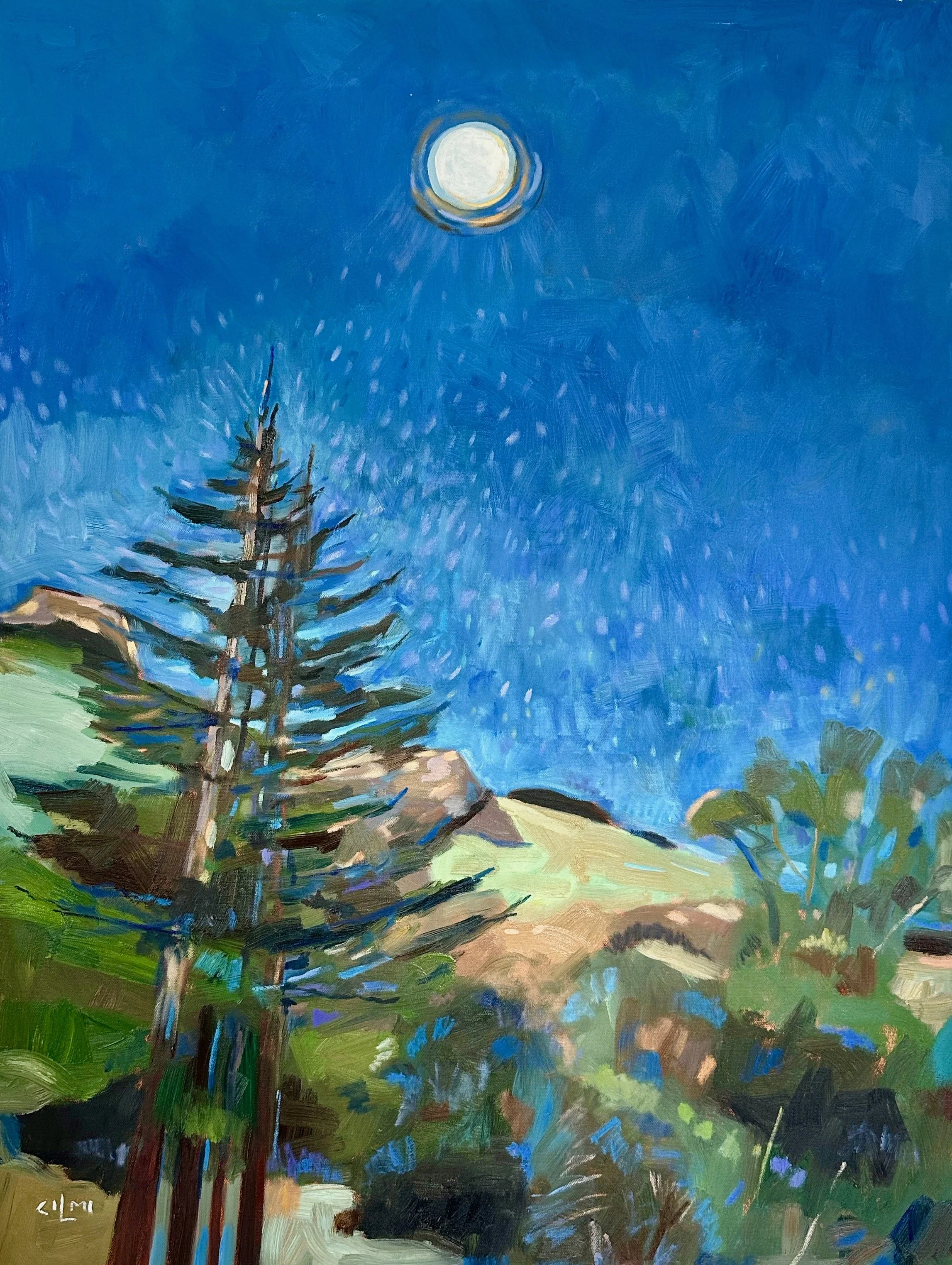 California Landscapes — Scott Cilmi