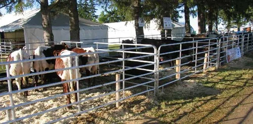 Aluminum Gates — SteelHead Ag