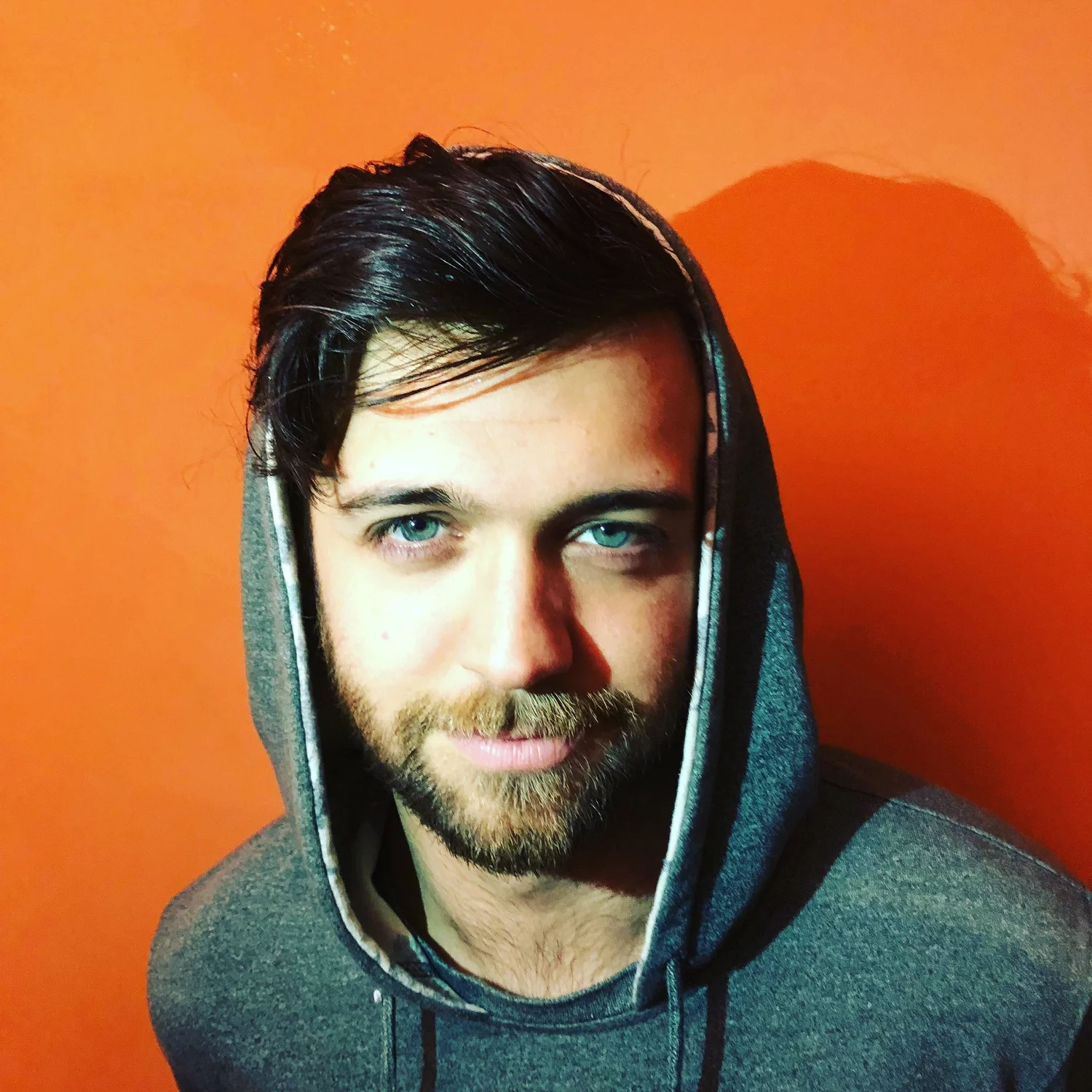 Aplatypuss, Twitch Streamer