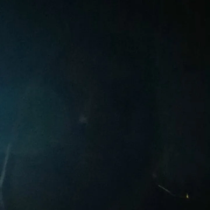 Aplatypuss, Twitch Streamer