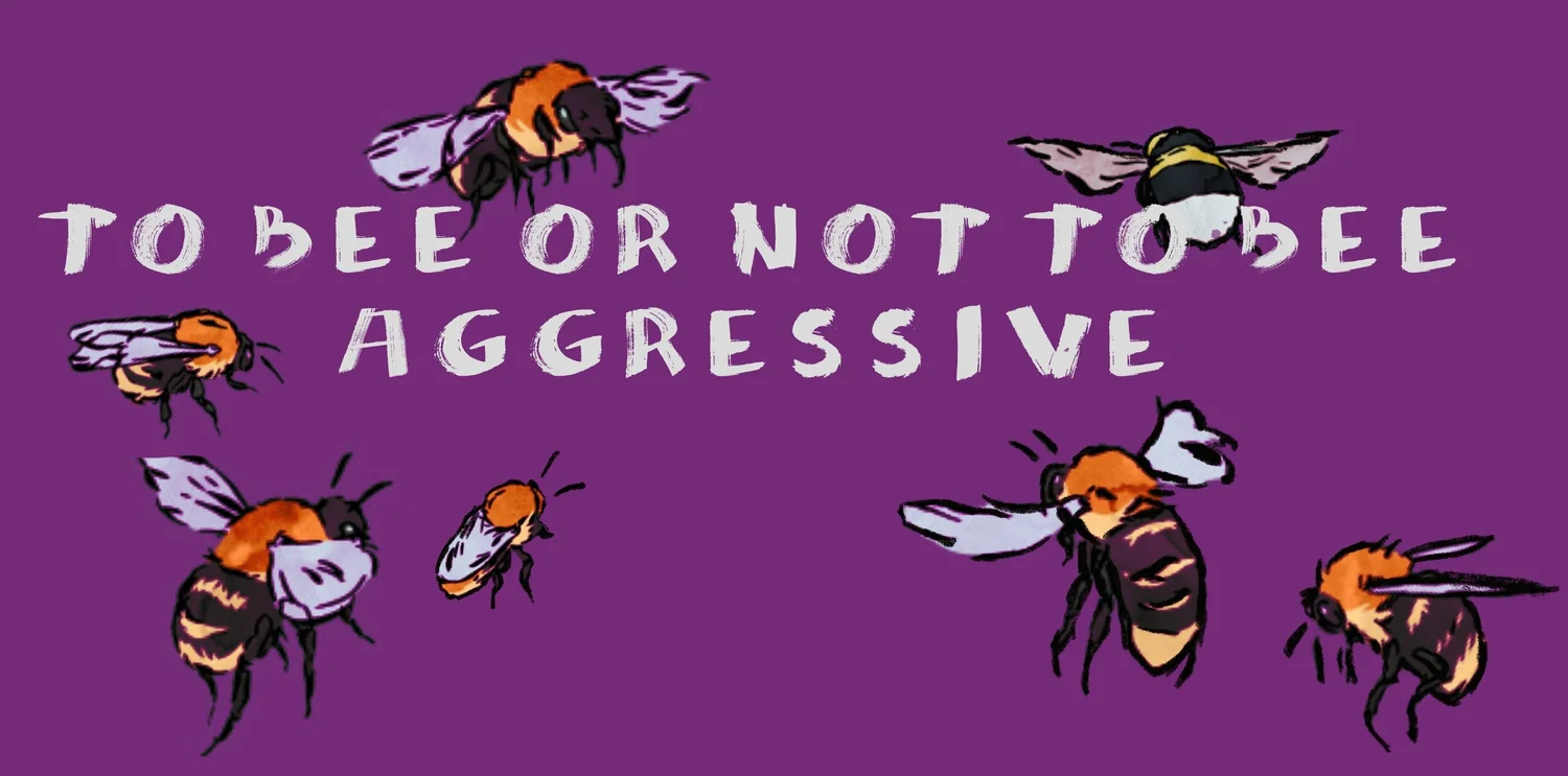 To bee or not to bee aggressive — DataClassroom