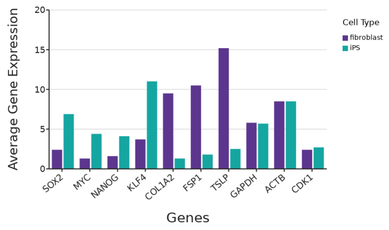 Gene Expression in STEM Cells — DataClassroom
