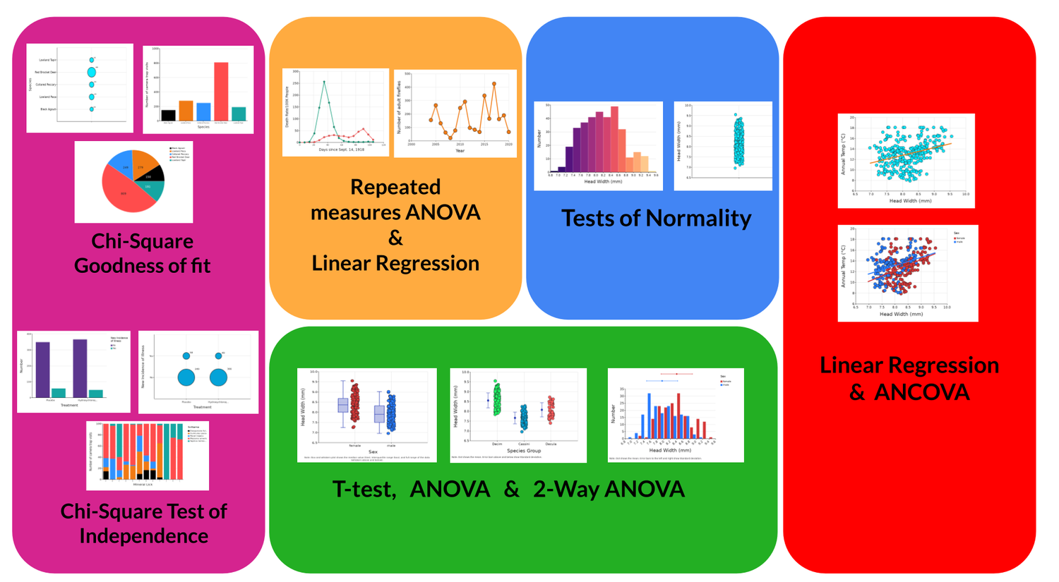 How to Choose the Right Statistical Test for Your Data — DataClassroom