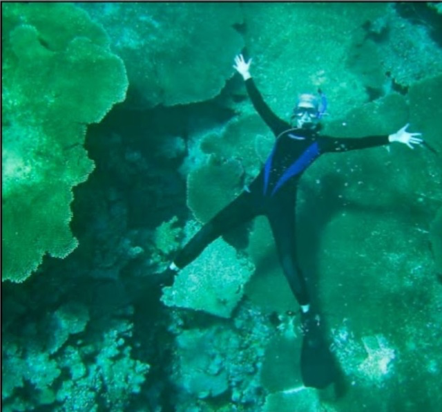 Coral Bleaching mutualism and Climate Change - authentic dataset ...