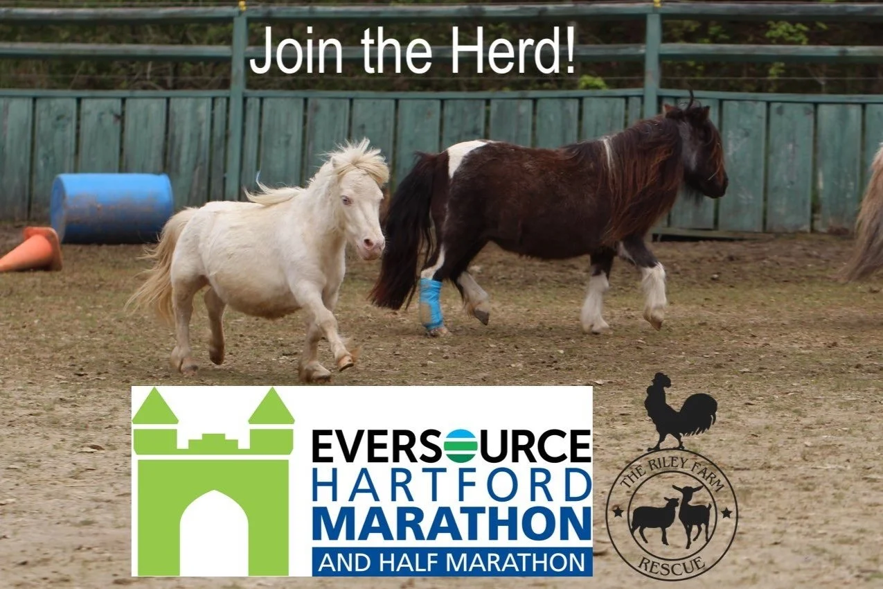 The Riley Farm Rescue