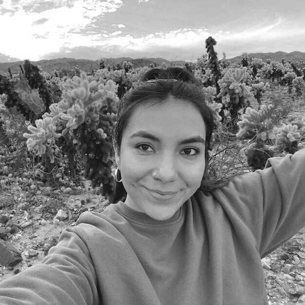 About — Latinx in Publishing