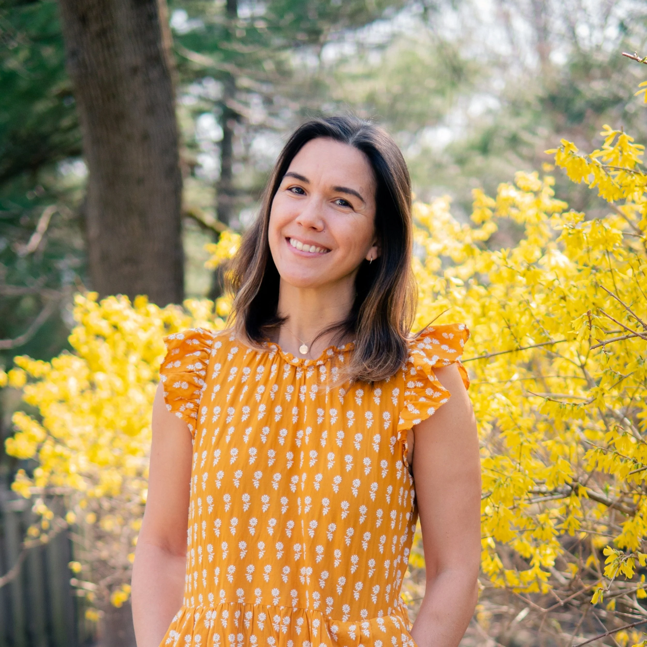 Exclusive Excerpt: Turtles of the Midnight Moon by María José ...