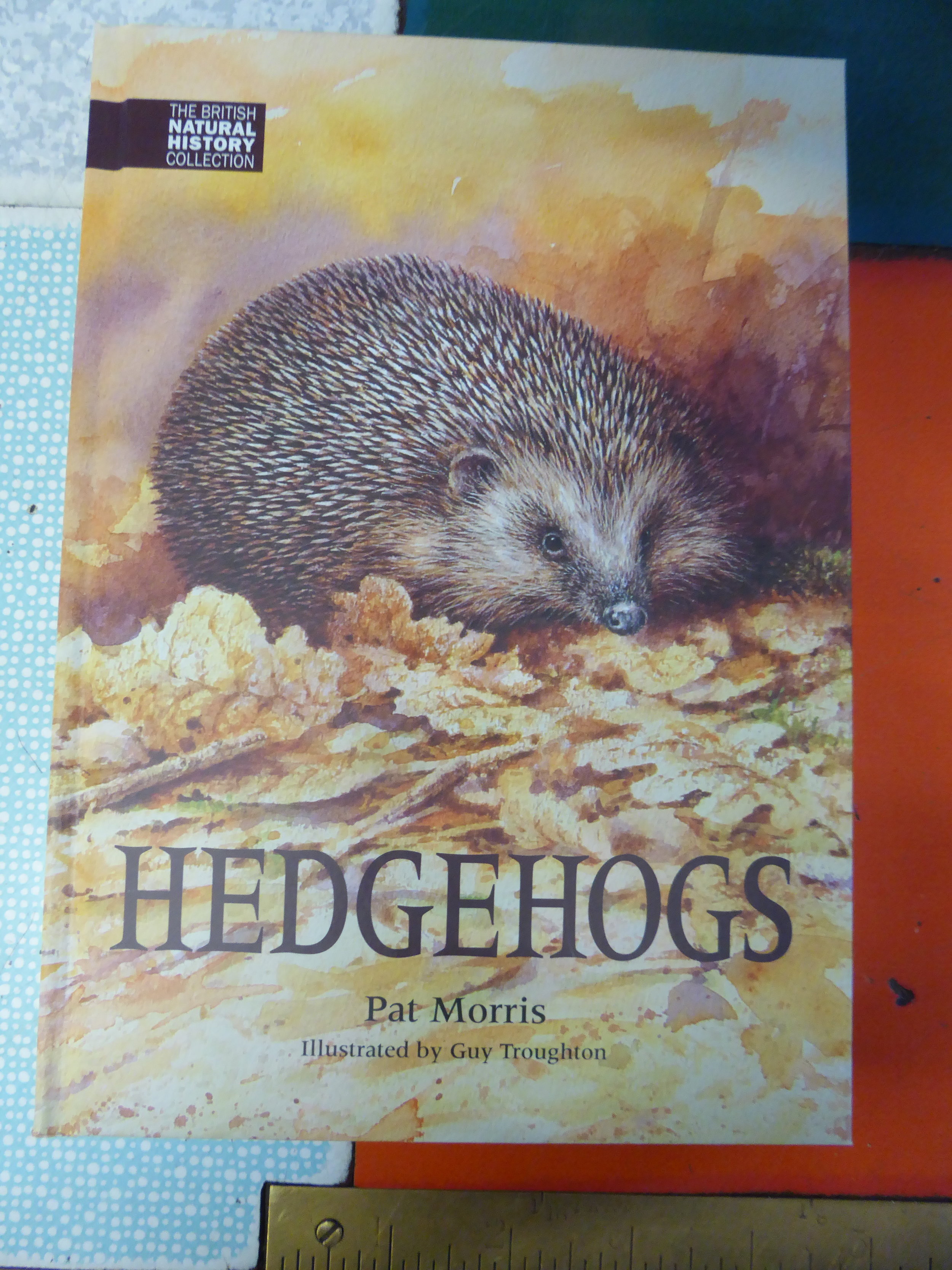 Local Books — Chapmans The Ironmongers