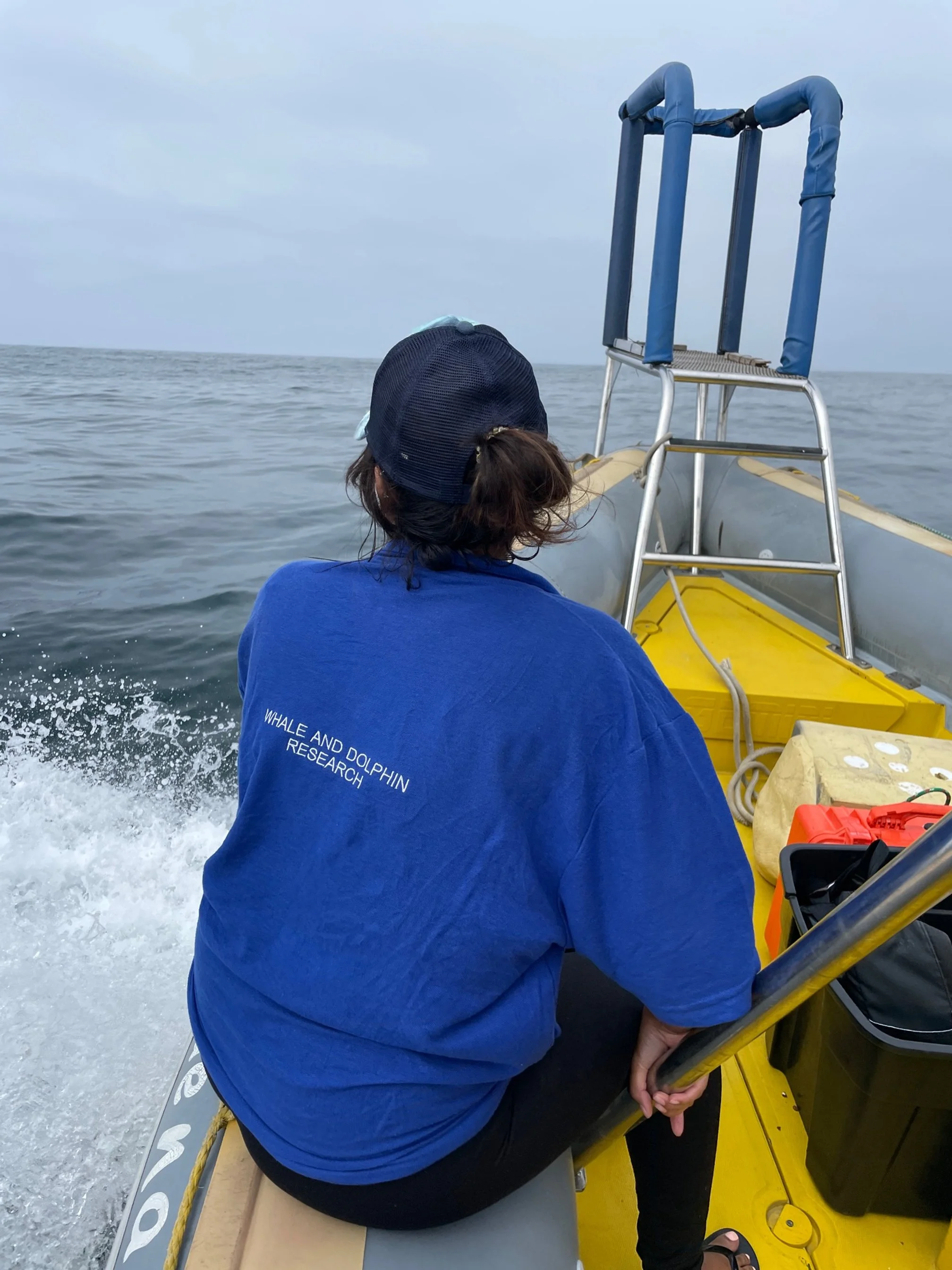 MRI Whale Unit — Mammal Research Institute