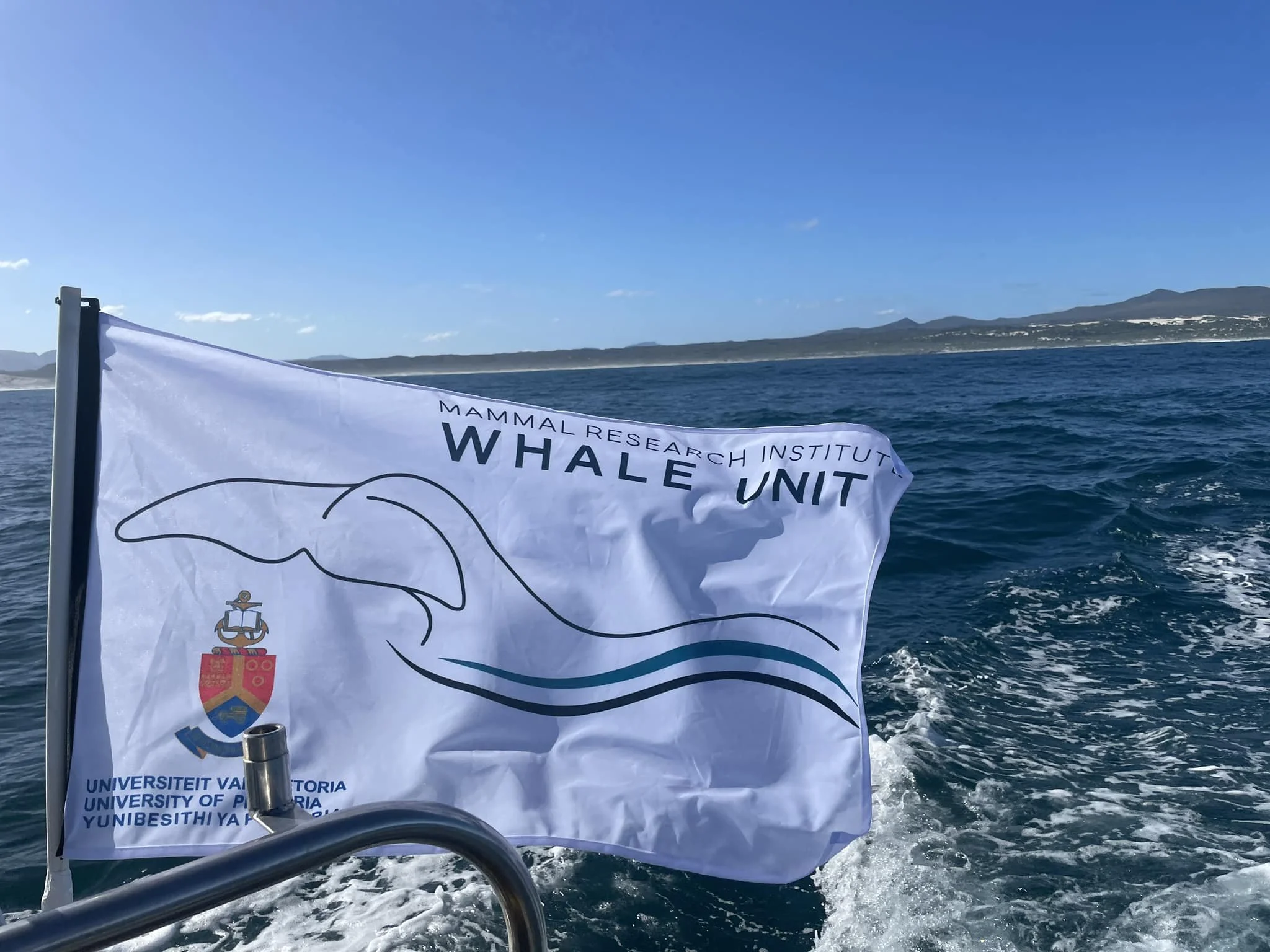 MRI Whale Unit — Mammal Research Institute