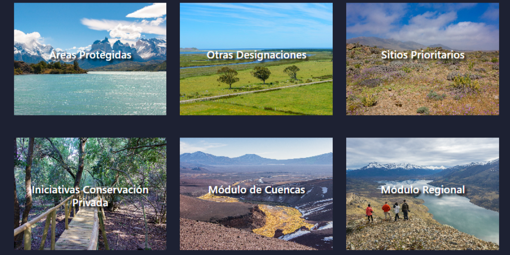 SIMBIO: Datos y Tecnología al Servicio de la Biodiversidad ...