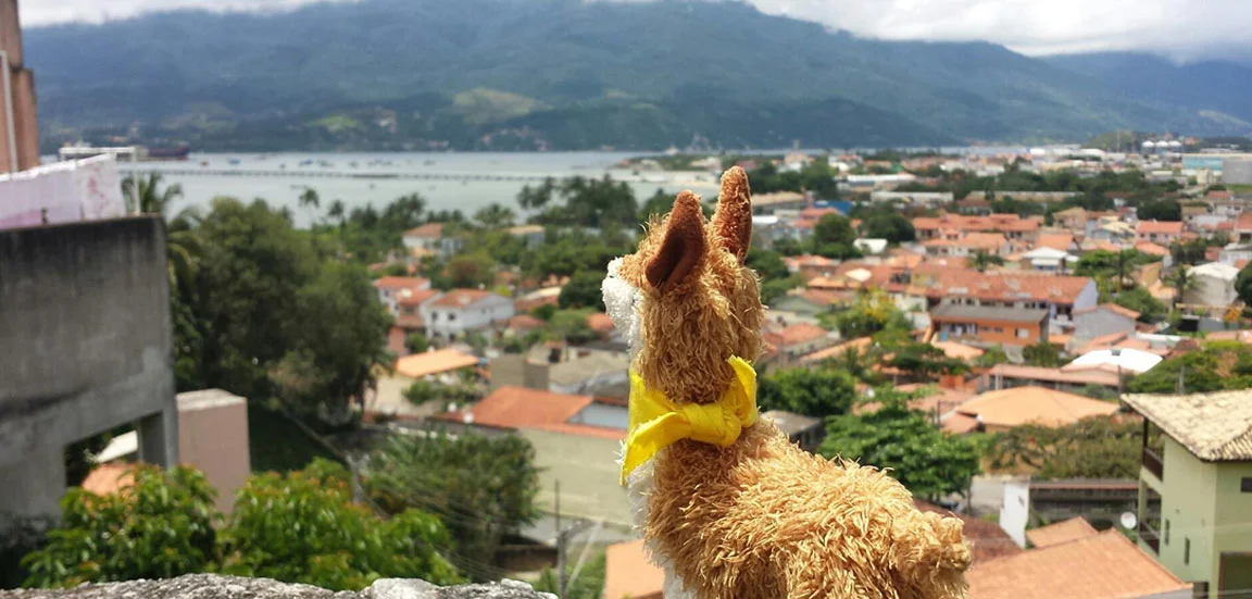 LOCATIONS — Welcome to Alpaca Chicken!