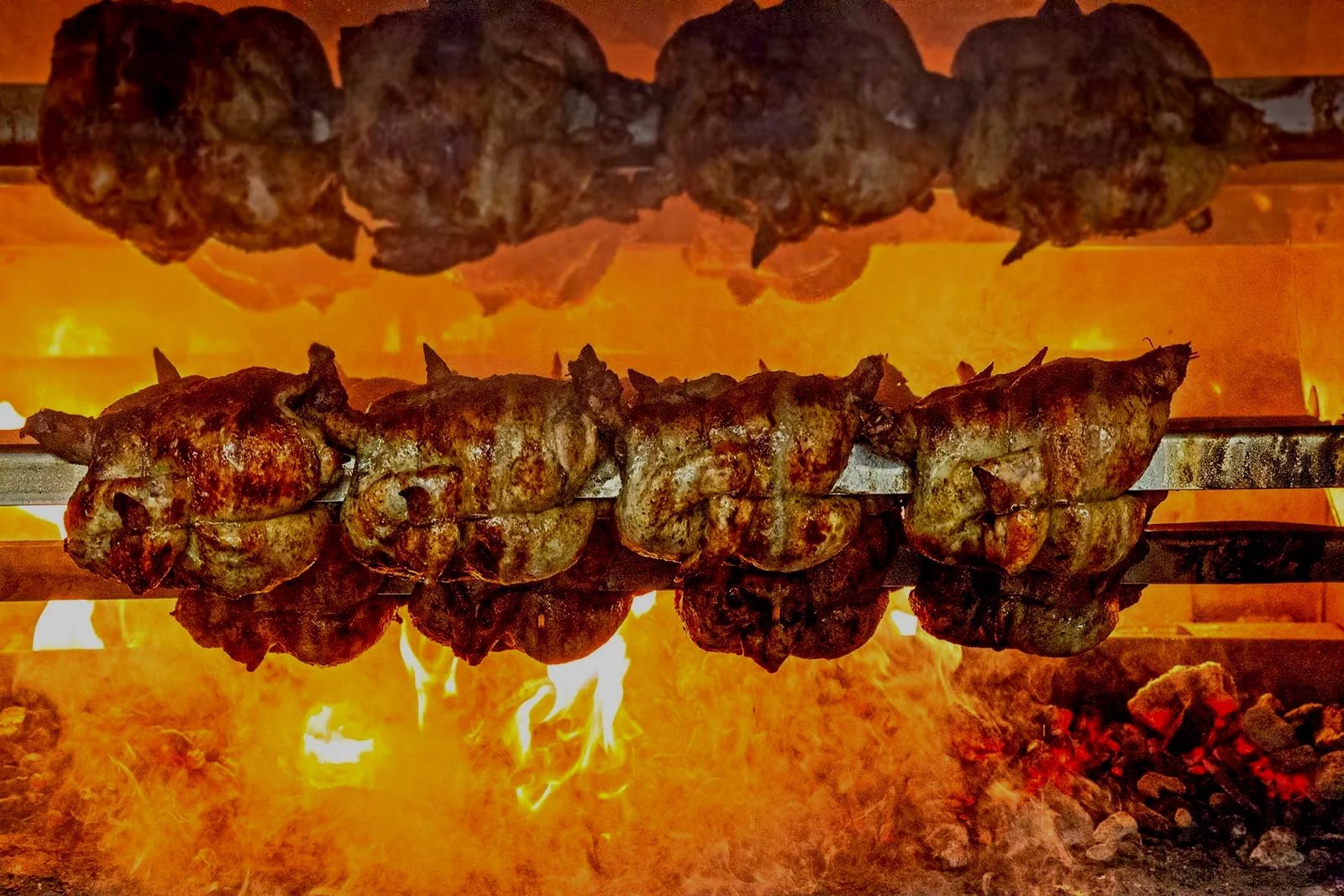 Welcome to Alpaca Chicken!