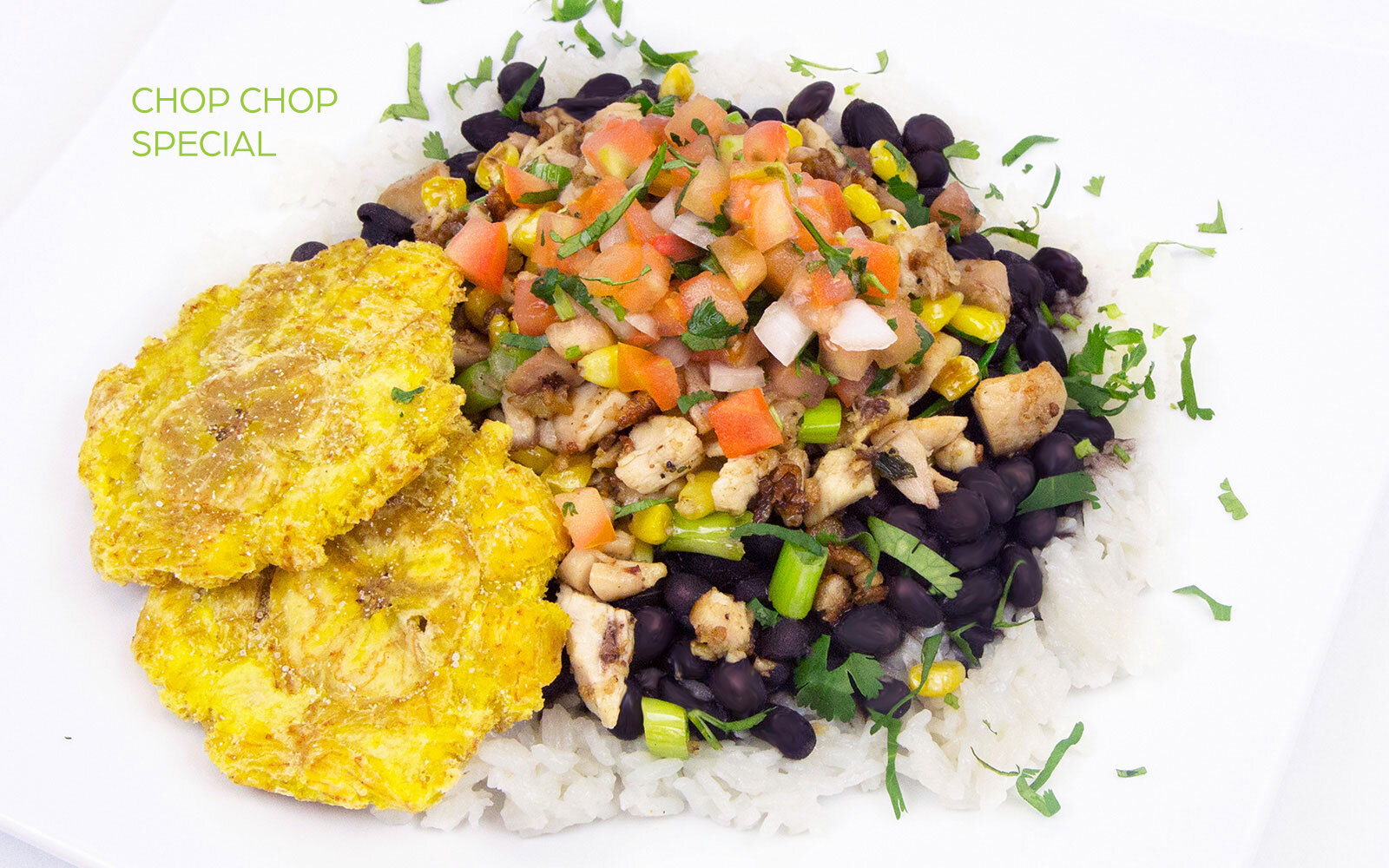 MENU — Welcome to Alpaca Chicken!