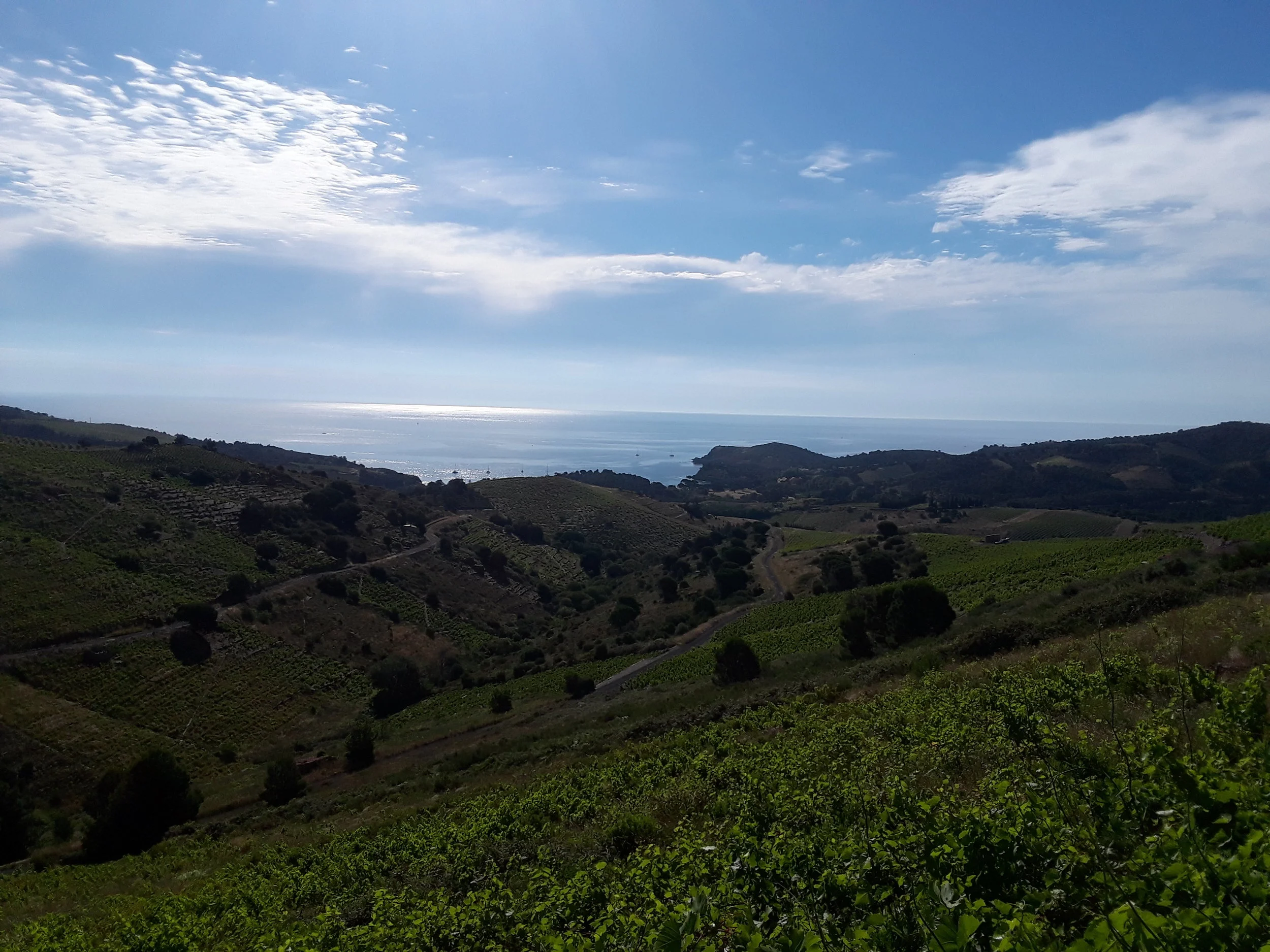 Project Invoices — S.C. Kaplan Editing