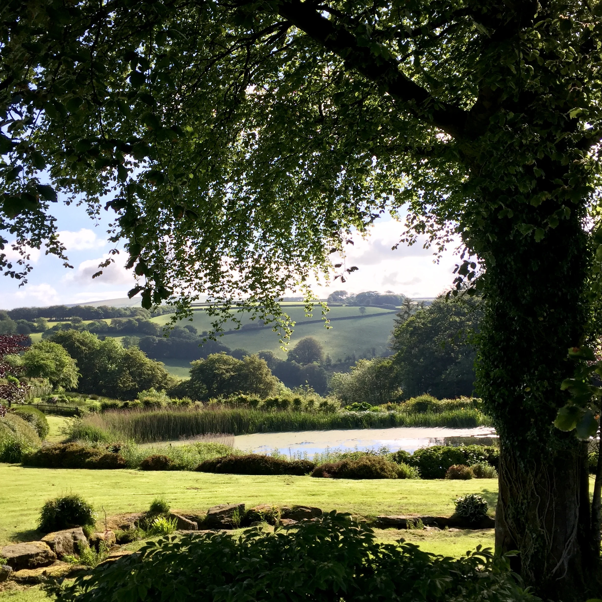 A positively good year, why project overload is good for the soul ...