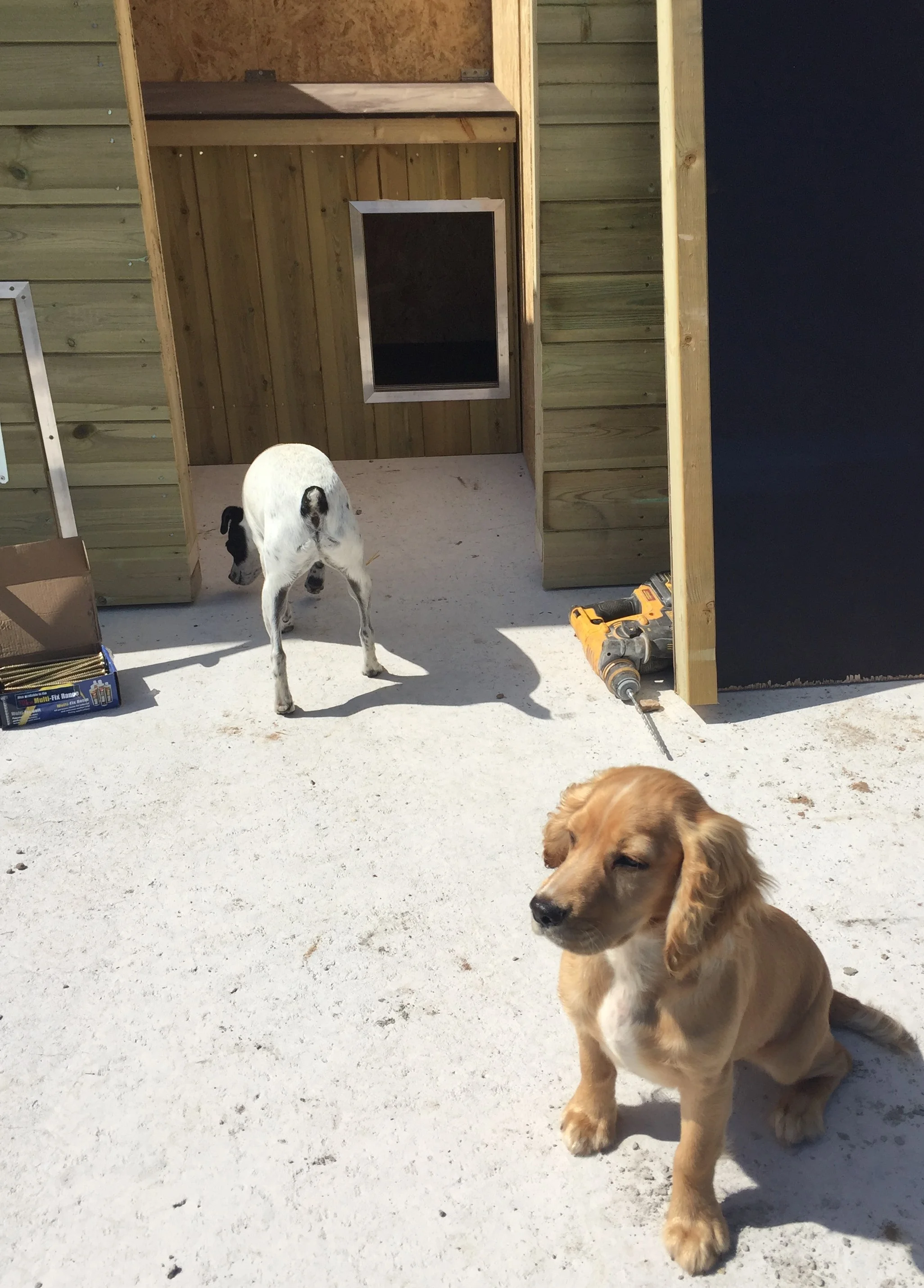 A positively good year, why project overload is good for the soul ...