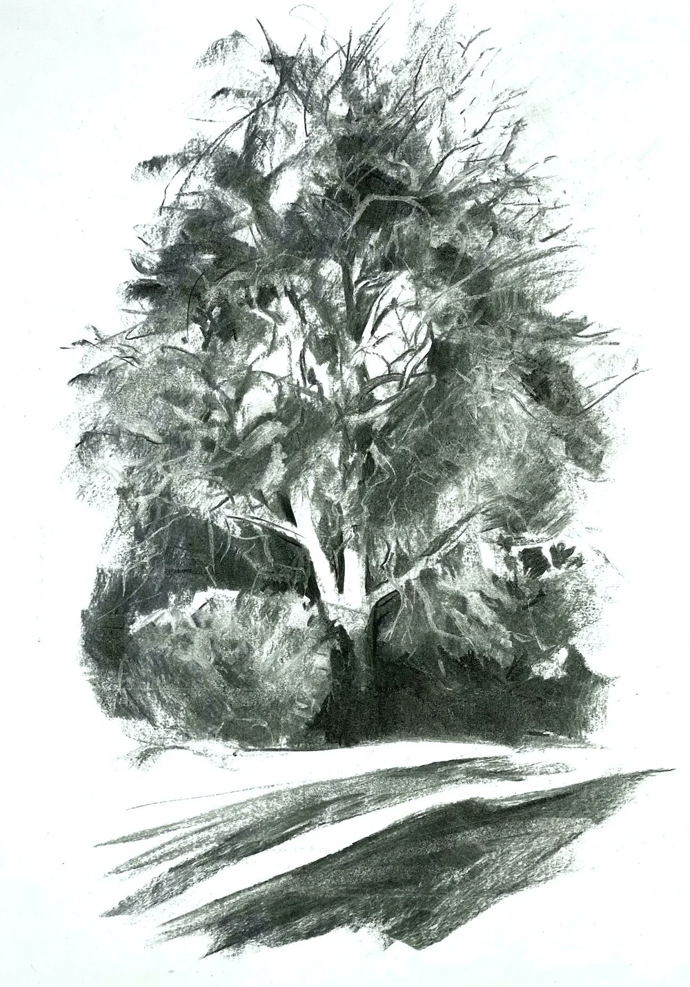 DRAWING TOGETHER — SUE HARDY