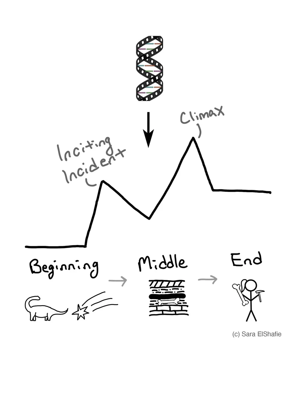 Science Storytelling & Communication Workshops — Science Through Story