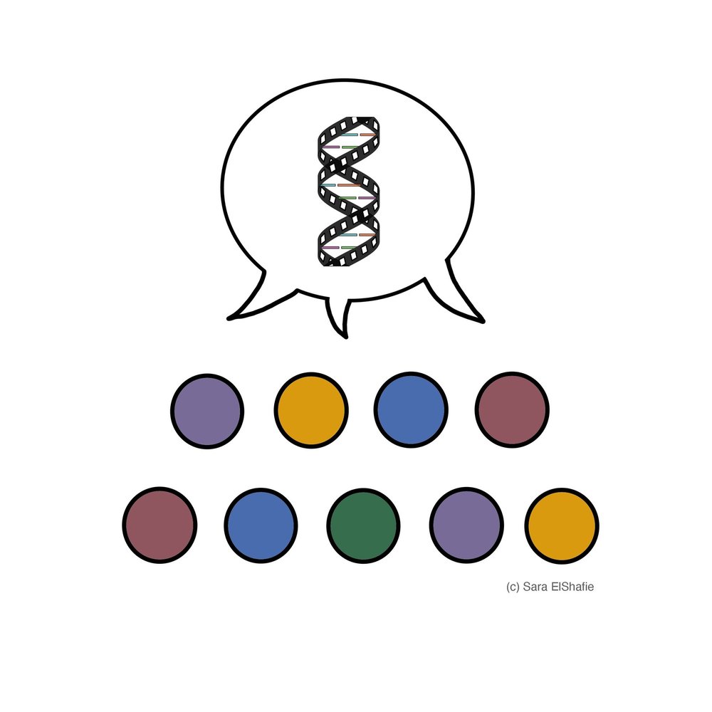 Science Storytelling & Communication Workshops — Science Through Story