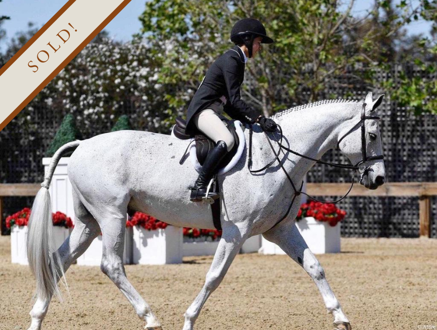 SALES — SUNNYBROOK