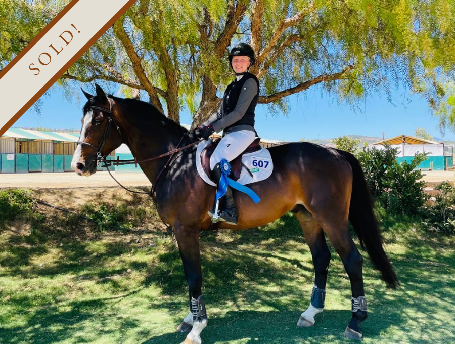 SALES — SUNNYBROOK