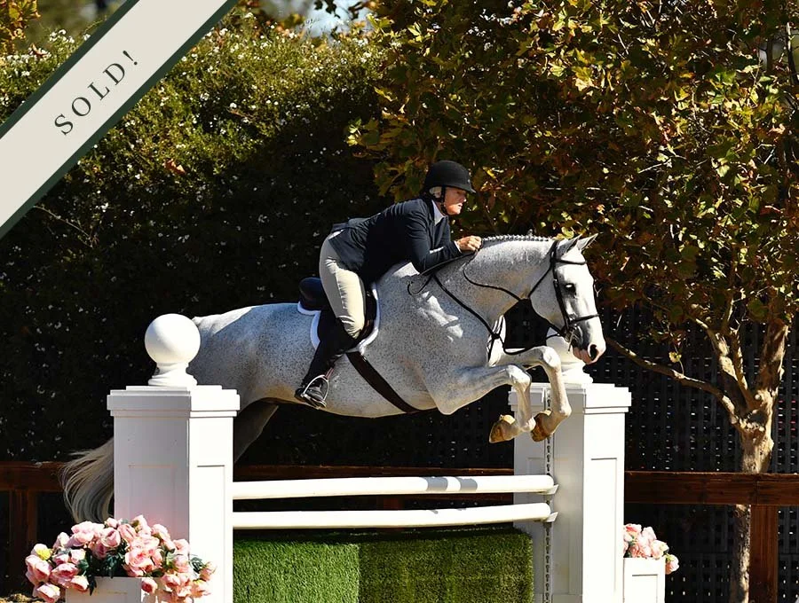 SALES — SUNNYBROOK