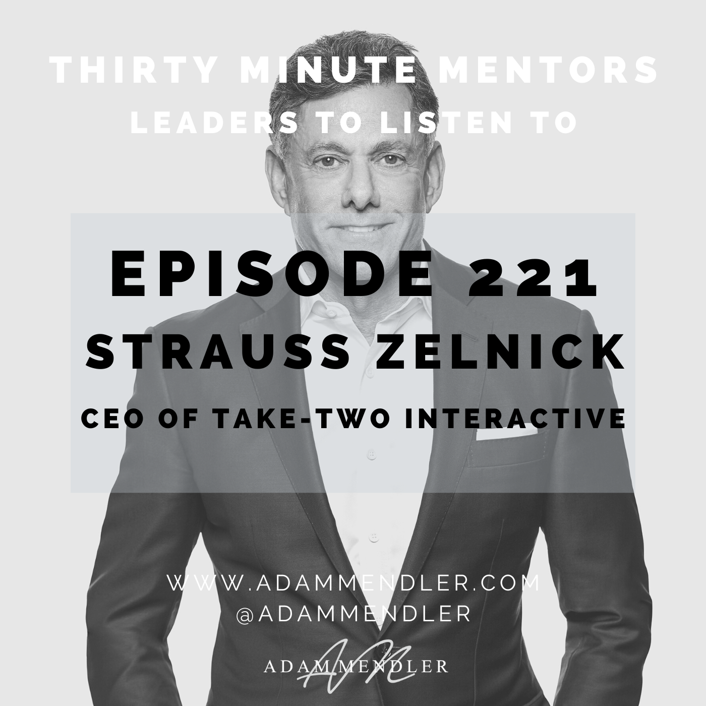 Episode 221: Take-Two Interactive CEO Strauss Zelnick — Adam Mendler in ...