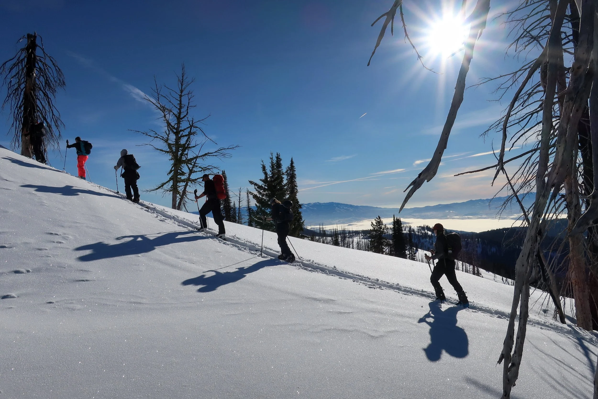 Last Best Ski & Paddle Shop