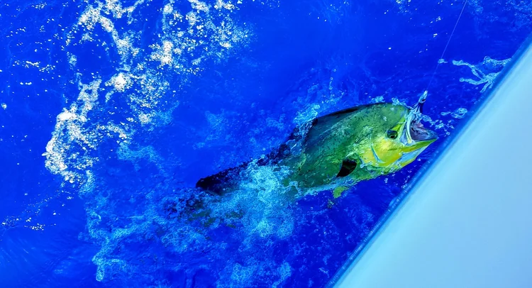 Stocking Island to Hetty's Land & Little Farmers Cay, Exumas, Bahamas ...