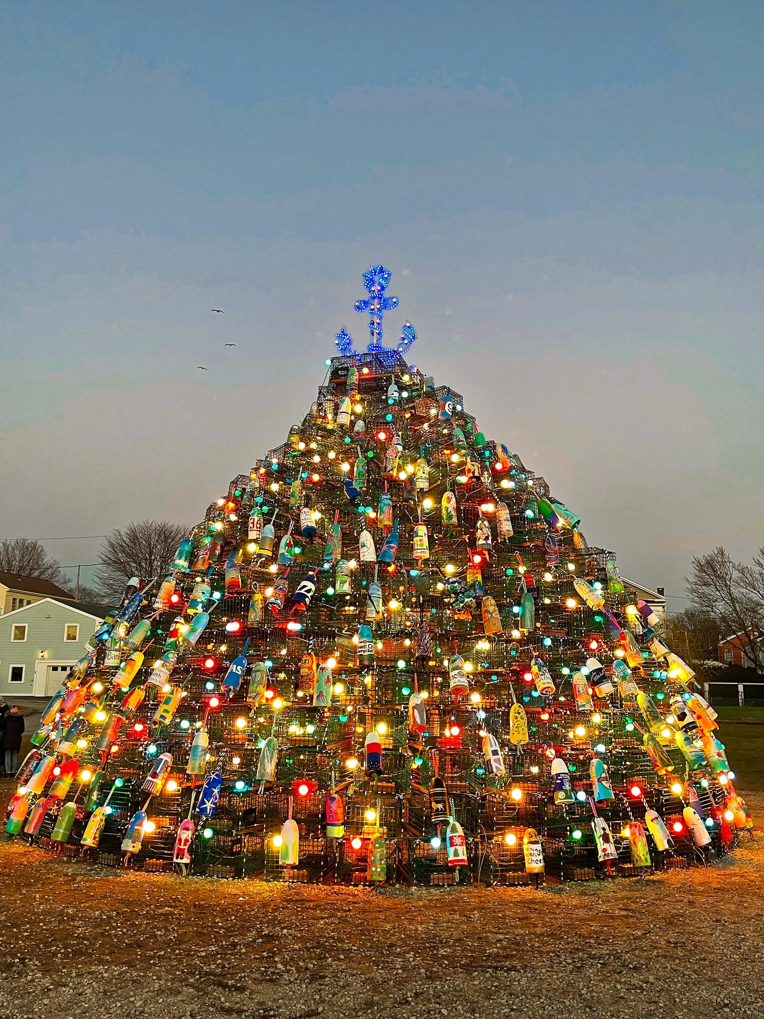 Stonington Lobster Trap Tree — knot so loud