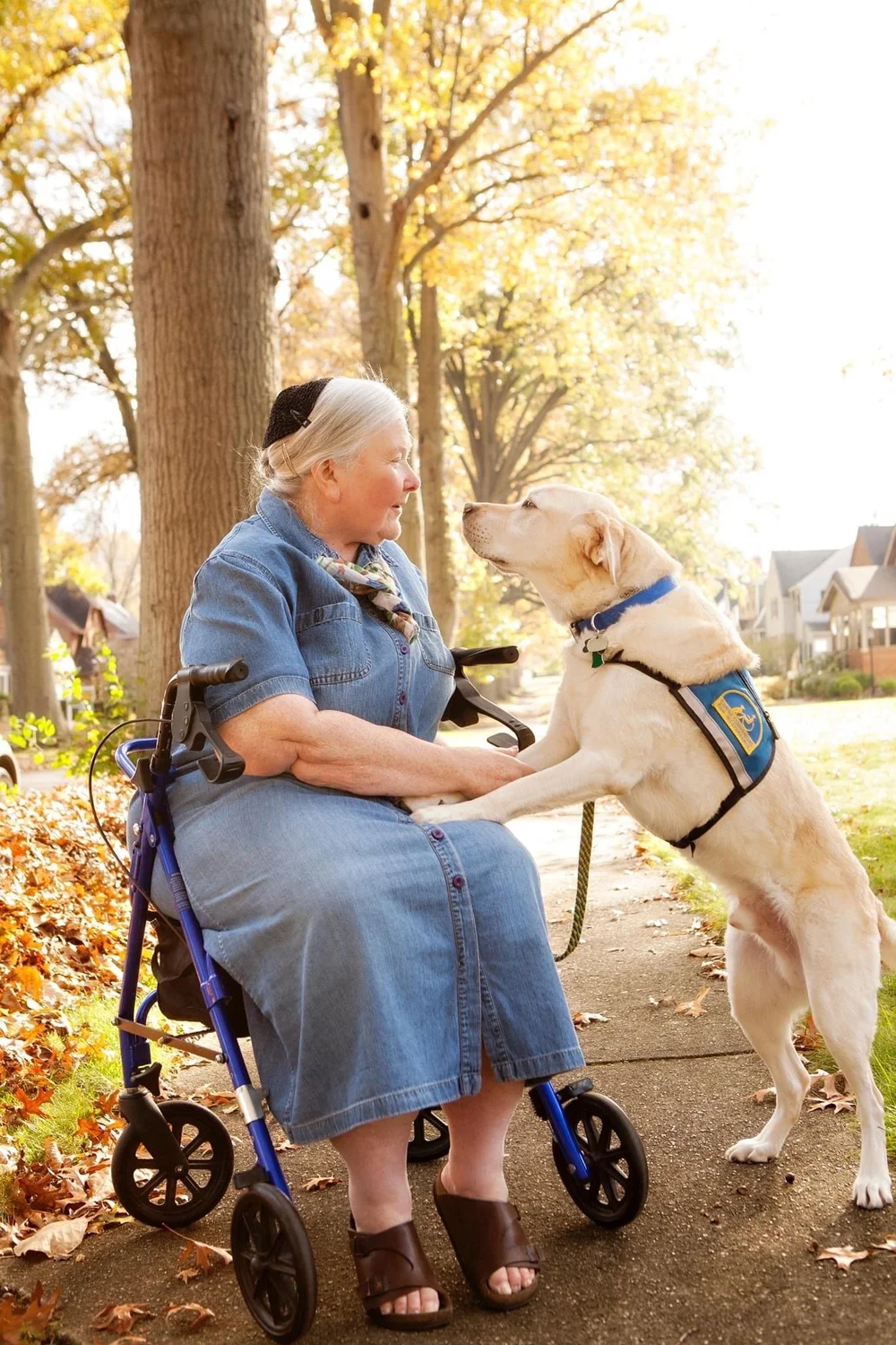 A Tribute to Sue Thomas — knot so loud