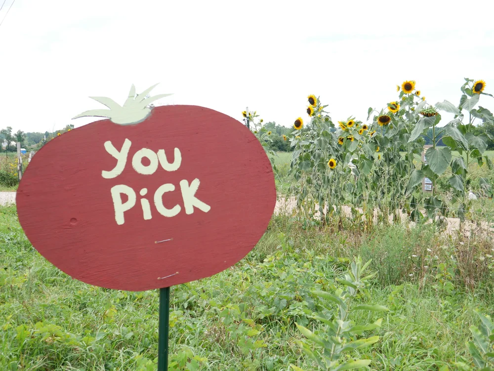 U-Pick Produce — Off the Vine Nutrition