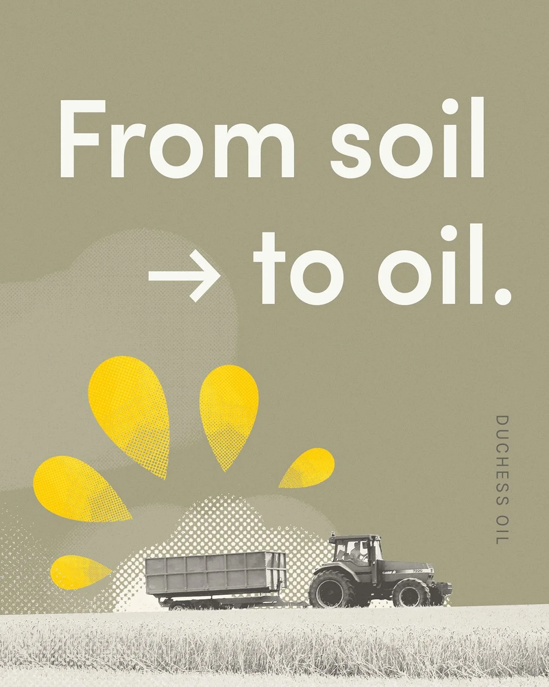 Duchess Farms — David Clulow Designer