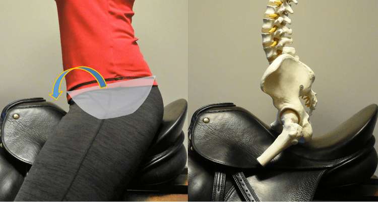 Pelvic Balance for Riders part 1: Finding your Pelvic Neutral — ON COURSE