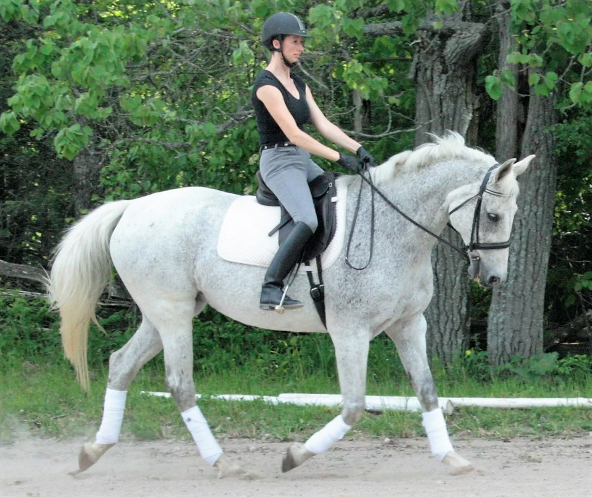 Shoulders Back! Part 2: Strength and Mobility — ON COURSE