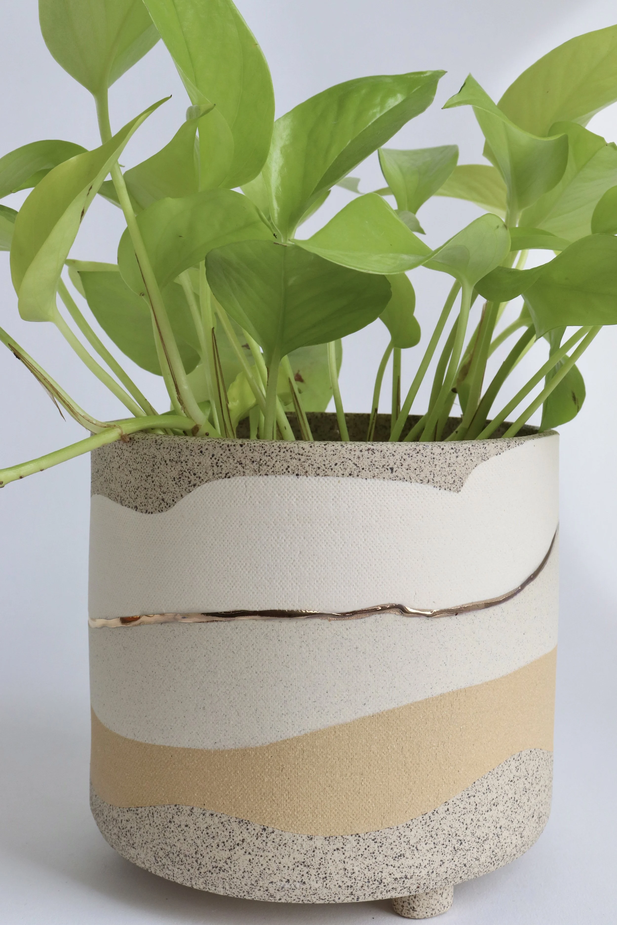 Shop — Gabrielle Silverlight