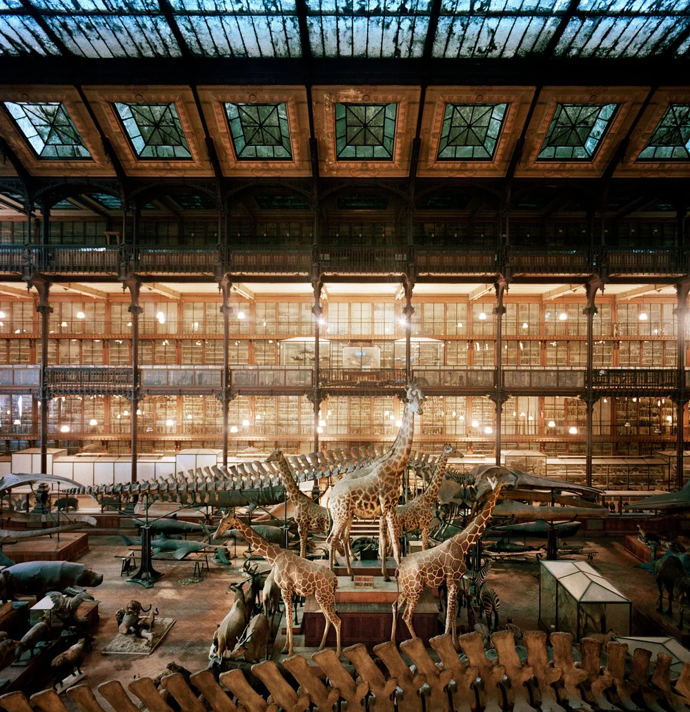 Museology — Richard Ross
