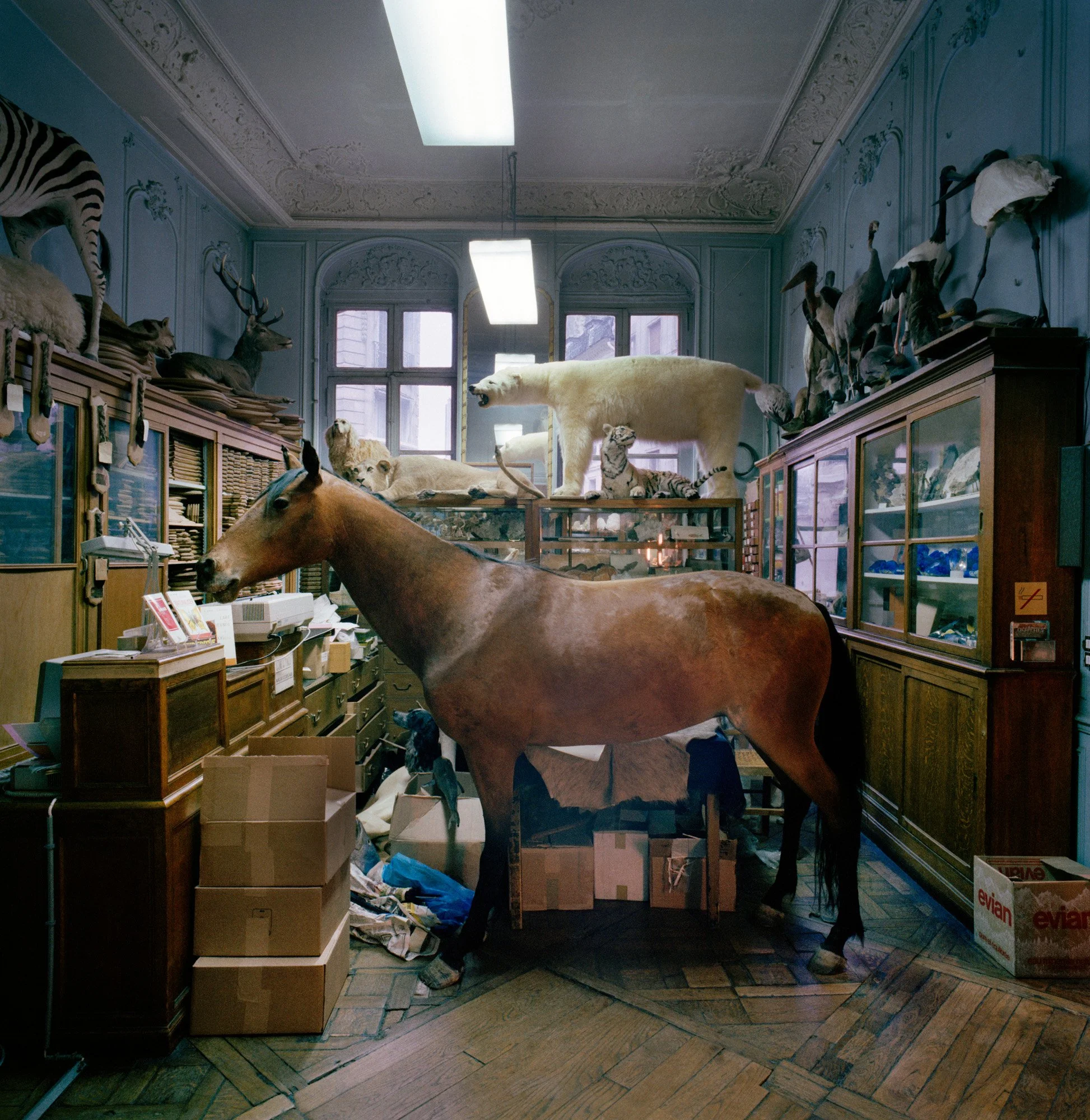 Museology — Richard Ross