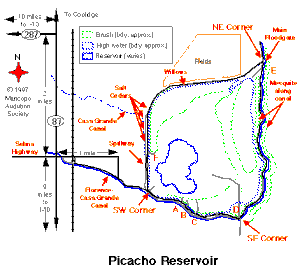 Birding Picacho Reservoir — Maricopa Bird Alliance