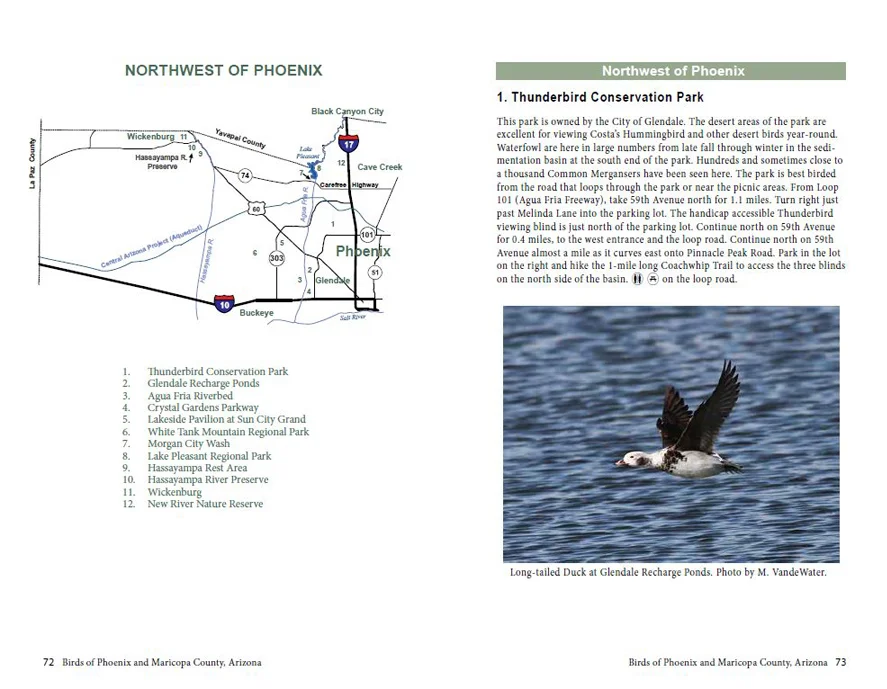 Birds of Phoenix and Maricopa County, Arizona — Maricopa Bird Alliance