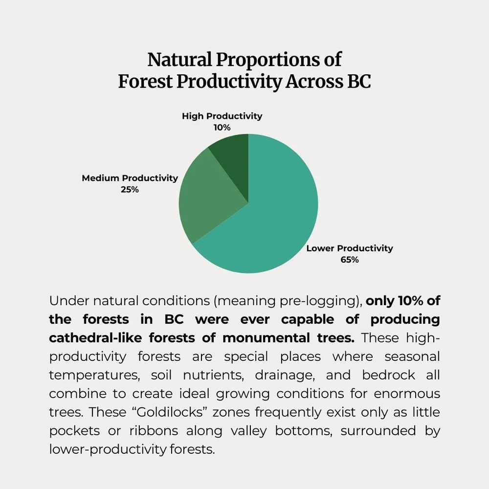 Forest Productivity and the Biodiversity and Ecosystem Health Framework ...